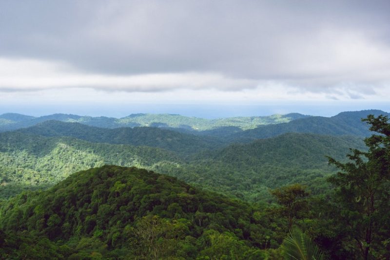 Best places to visit in TRINIDAD and TOBAGO - TravelFree